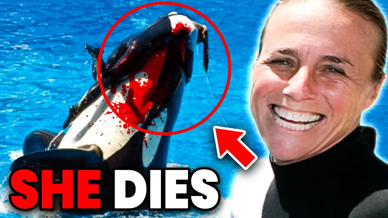 A Six Ton WHALE Pulled The Trainer Into The Water and She Didn't Come ...
