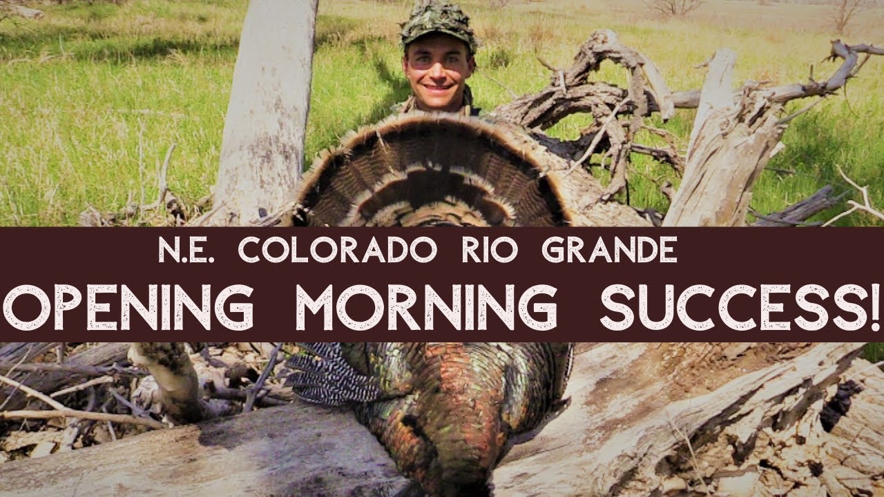 OPENING MORNING RIO GRANDE, NE Colorado, Public Land, DIY - YouTube