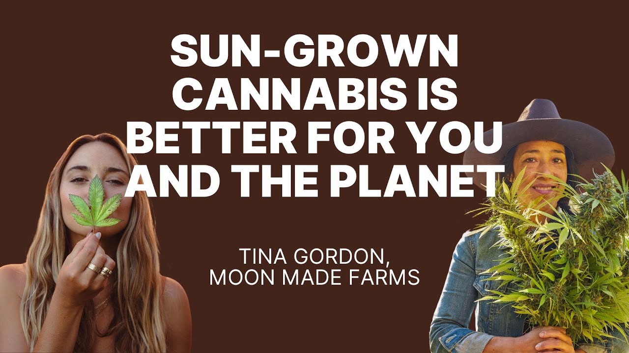 How Can Sun-Grown Cannabis Better the World? Higher Spirits EP 01 Tina ...