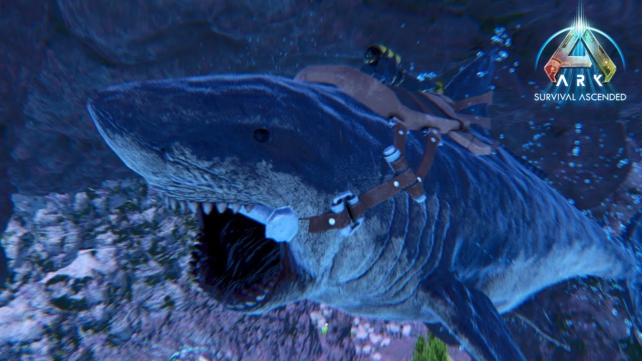 Bang Coba Taming Dino Air ! Ark Survival Ascended Indonesia #10 - YouTube