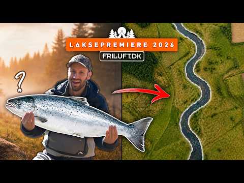 Laksepremiere i Storåen 2026 - Kan jeg fange en LAKS? 🐟