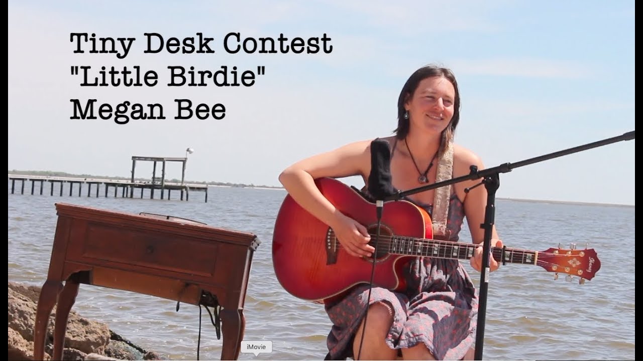 Megan Bee // Little Birdie // NPR Tiny Desk Contest 2018 - YouTube
