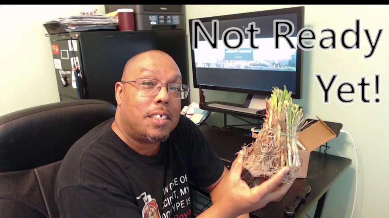 We're Not Ready Yet! // Sets Have Arrived - YouTube