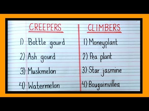 climbers and creepers examples|climbers examples|creepers examples ...