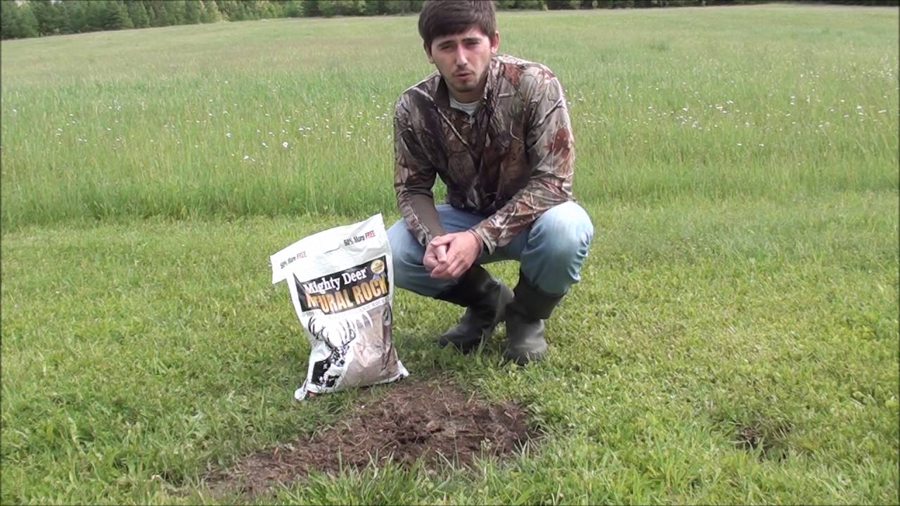 How To: Mighty Deer Natural Rock - YouTube
