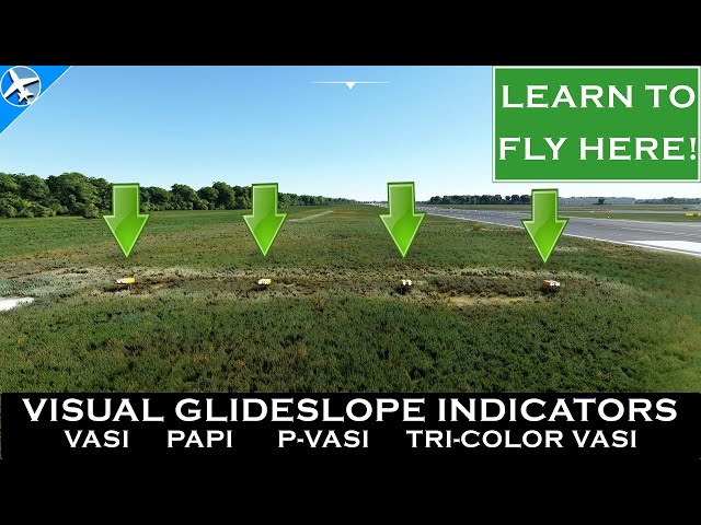 Pulsating Vasi Lights | Shelly Lighting