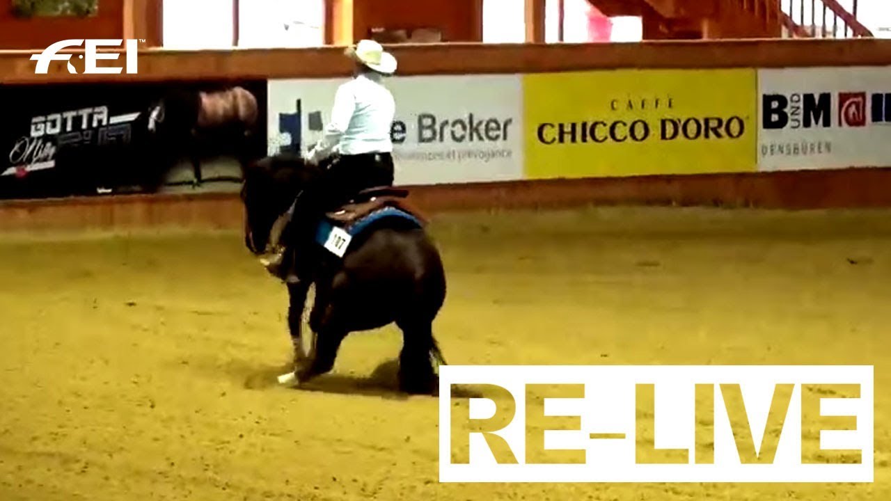 RE-LIVE | Second Go-Round | FEI Reining European Championship 2019 ...