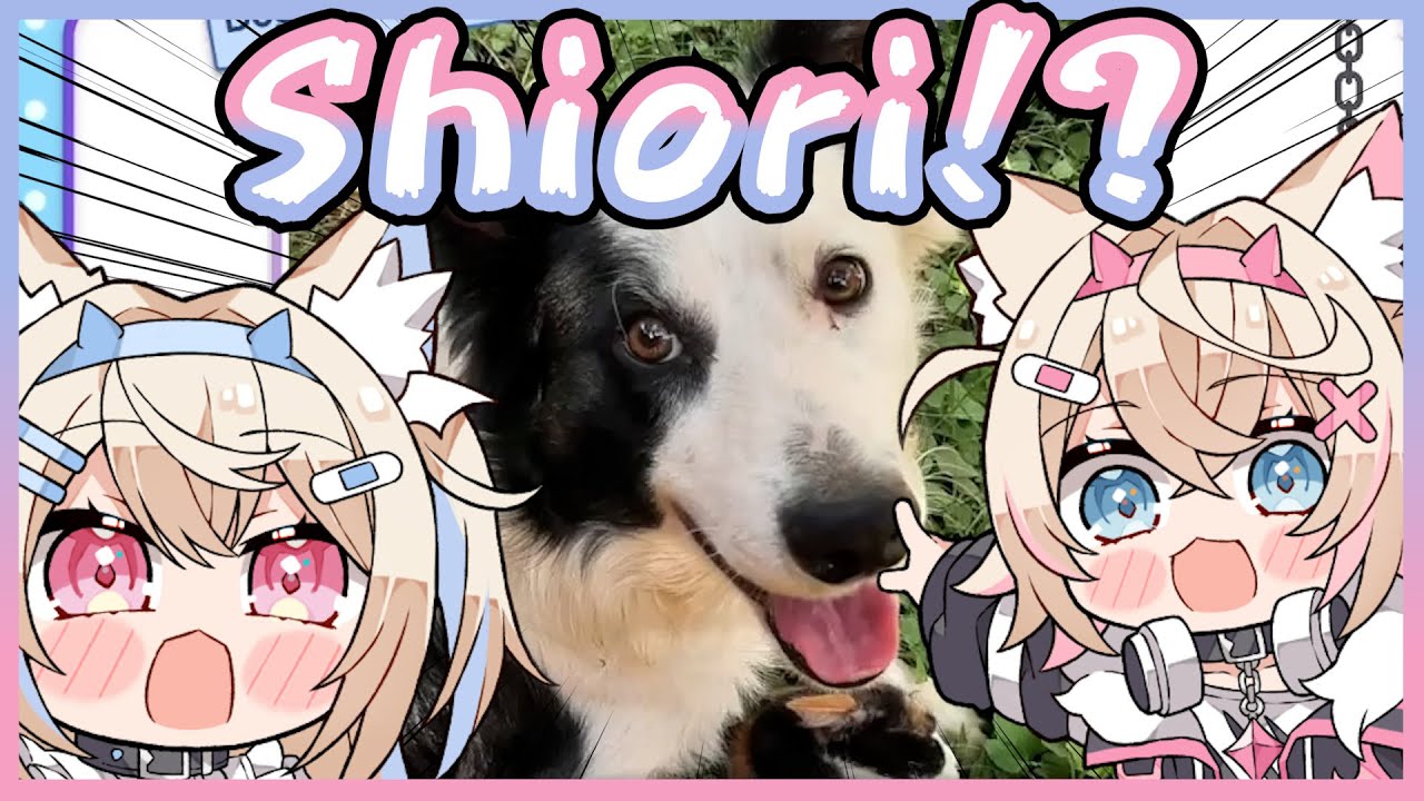 FuwaMoco Found Shiori As A Dog In Real Life 【Hololive / Eng Sub】 - YouTube