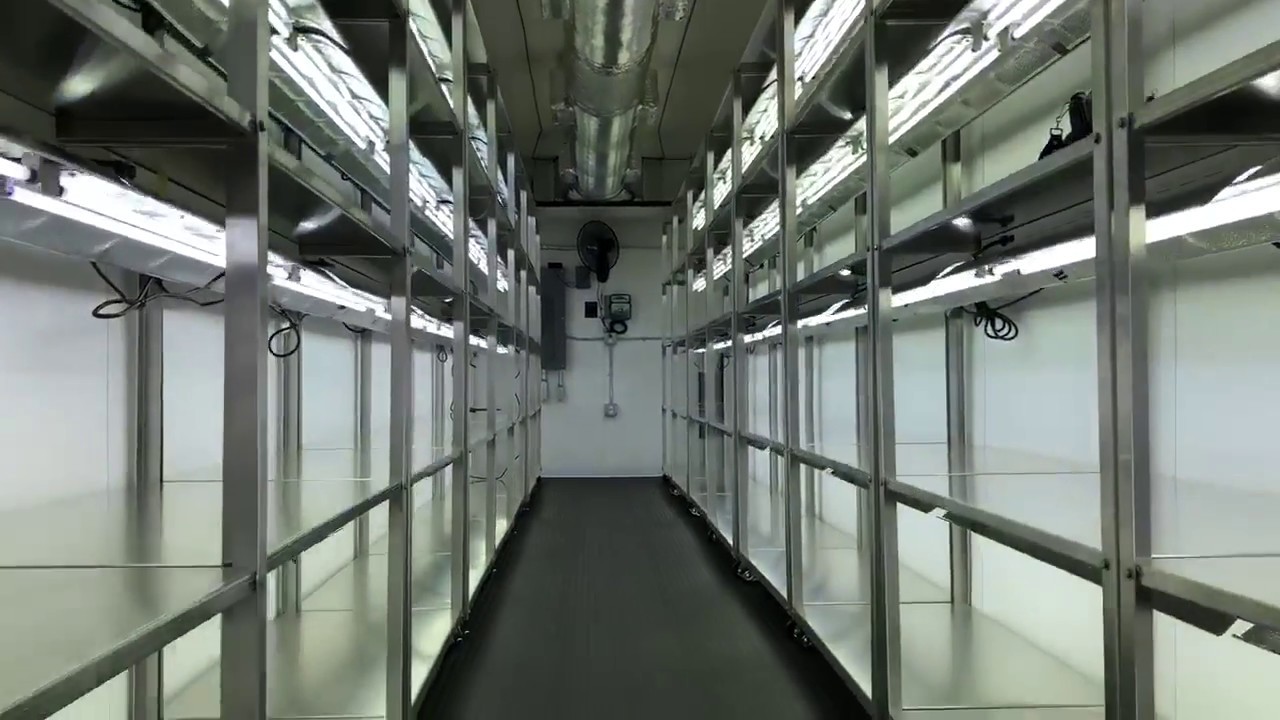 Grow Pod with Clone Racks and more - YouTube