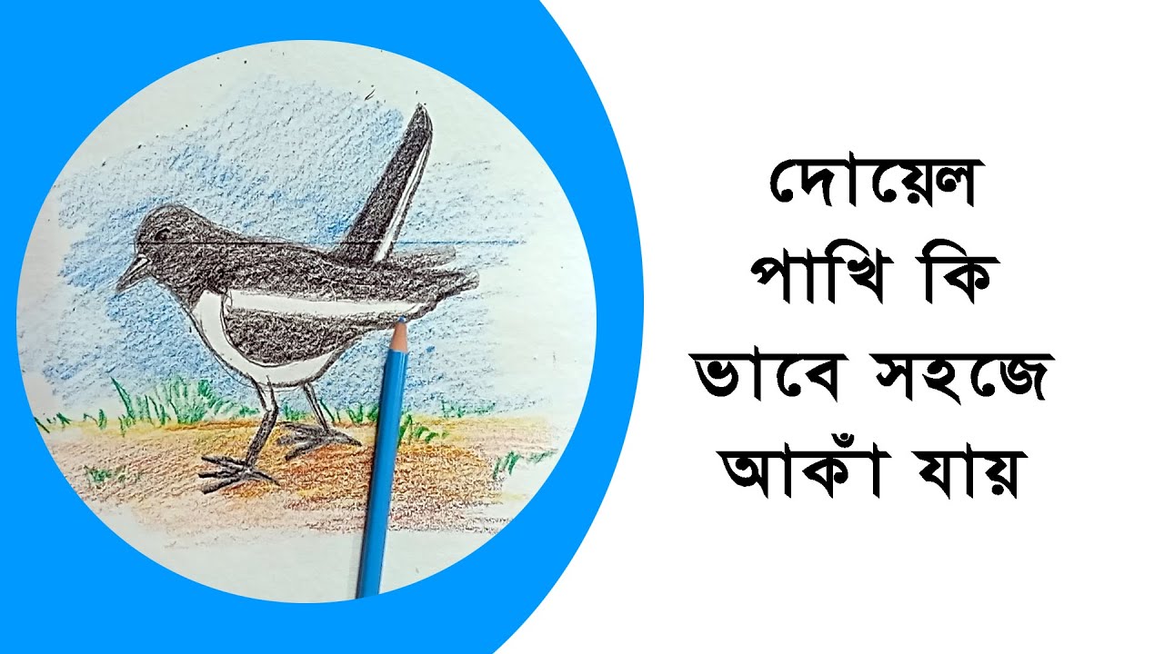 How do the Doyle birds grow easily? - YouTube