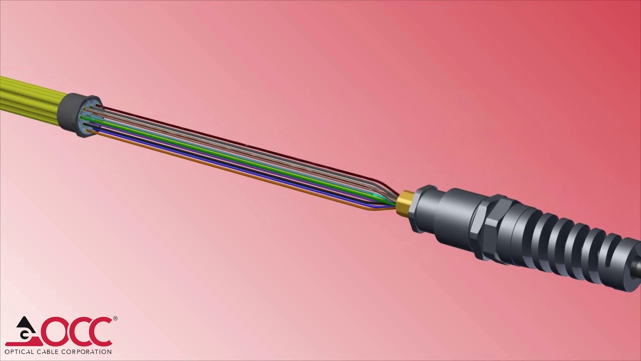 Forge Fan-Out™ Kit - YouTube