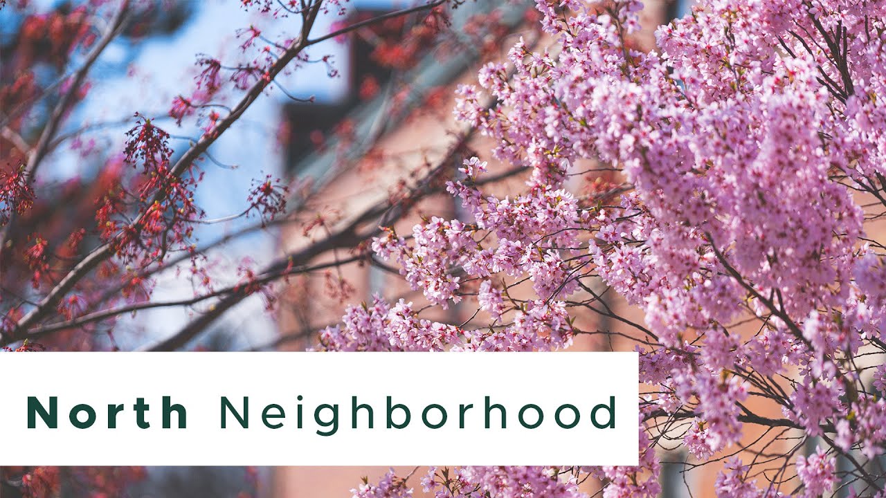 North Neighborhood at MSU - YouTube