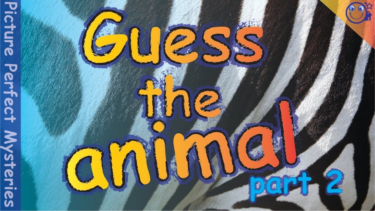 GUESS THE ANIMAL | part 2 | 2019 - YouTube