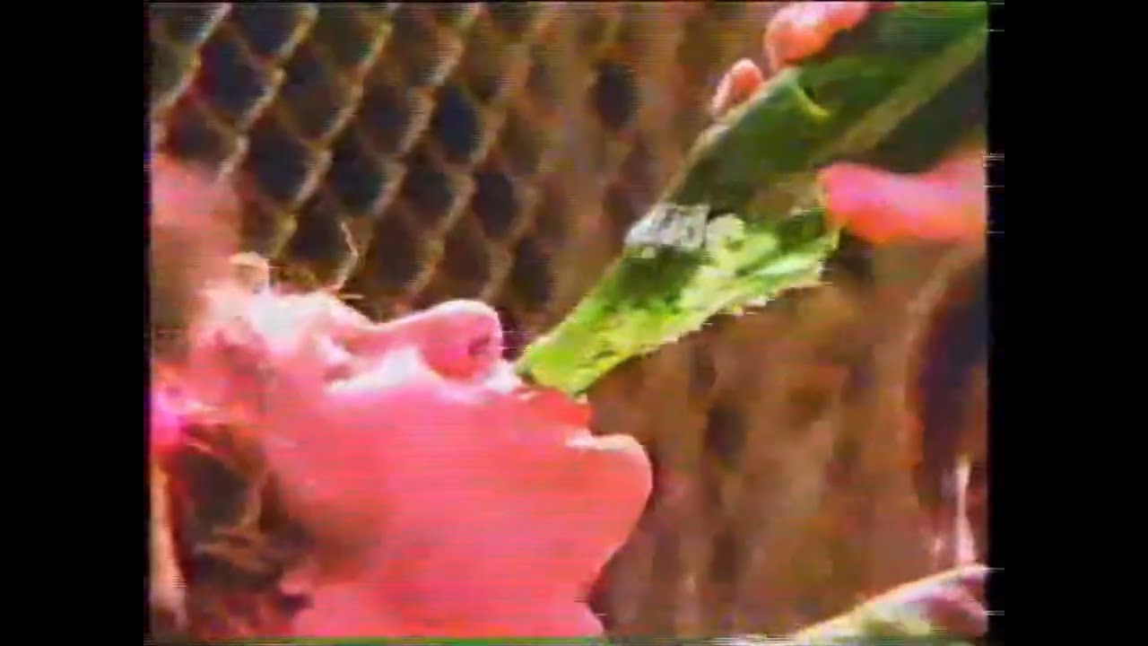 1979 Sprite Commercial - YouTube