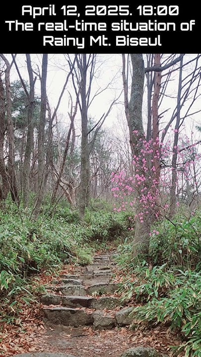 Saturday, April 12, 2025, at 18:00. The real-time situation of rainy Mt ...