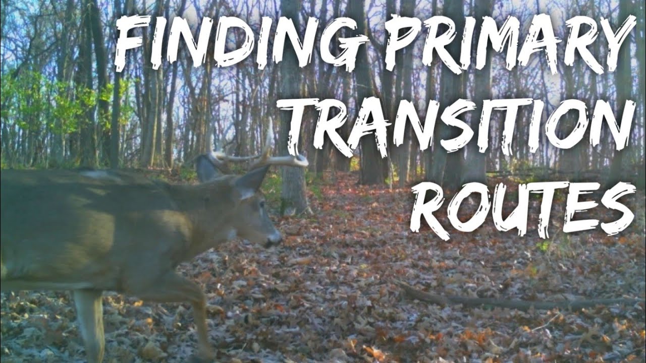 Finding Primary Transition Routes! - YouTube