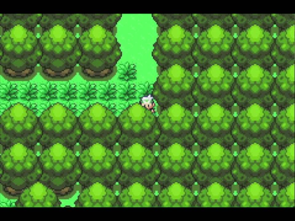 Let's Play Pokemon Flora Sky Part 5: To Buizel or not to Buizel? - YouTube