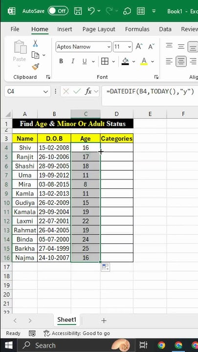 Calculate Age & Categorize as Minor or Adult in Excel #ExcelTips - YouTube