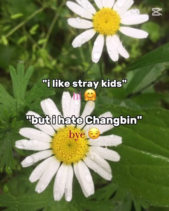 I don't know why so many people hate Changbin😔 #changbin #straykids ...