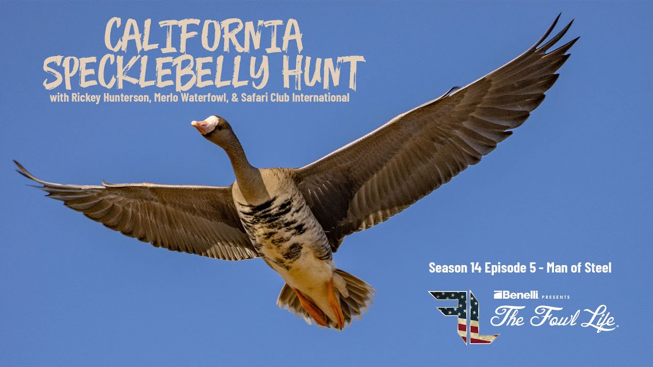 Big Decoy Spread and Good Shooting Makes for a Unreal California ...