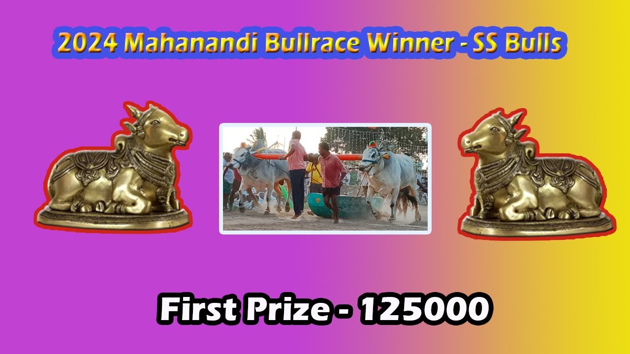 మహానంది ఫస్ట్ ప్రైజ్ ప్రైజ్ విన్నర్ - SS బుల్స్ | మహానంది ఎడ్ల ...