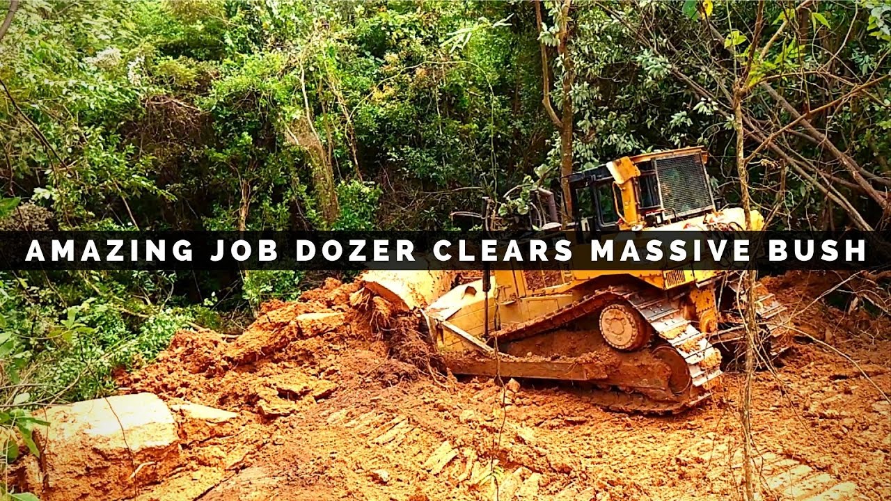 Dozer Clears Massive Bush - Part 1 - YouTube