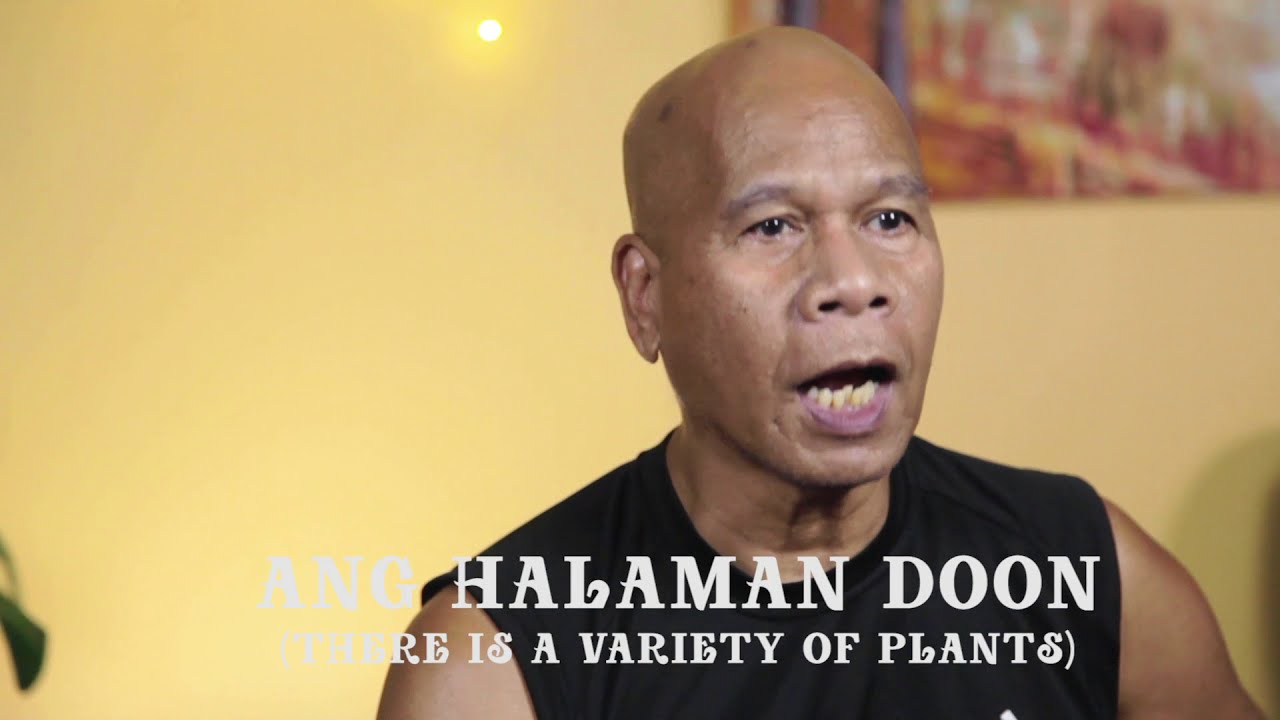 LEARN BAHAY KUBO LYRICS IN TAGALOG PHRASE 3 PART 2: Learn Filipino With ...