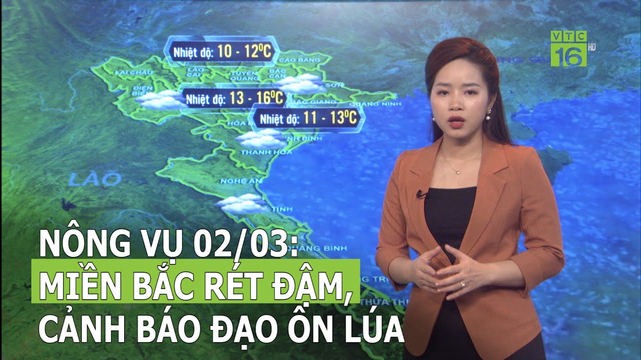 Thời tiết nông vụ 02/03: Miền Bắc rét đậm, cảnh báo bệnh đạo ôn lúa ...