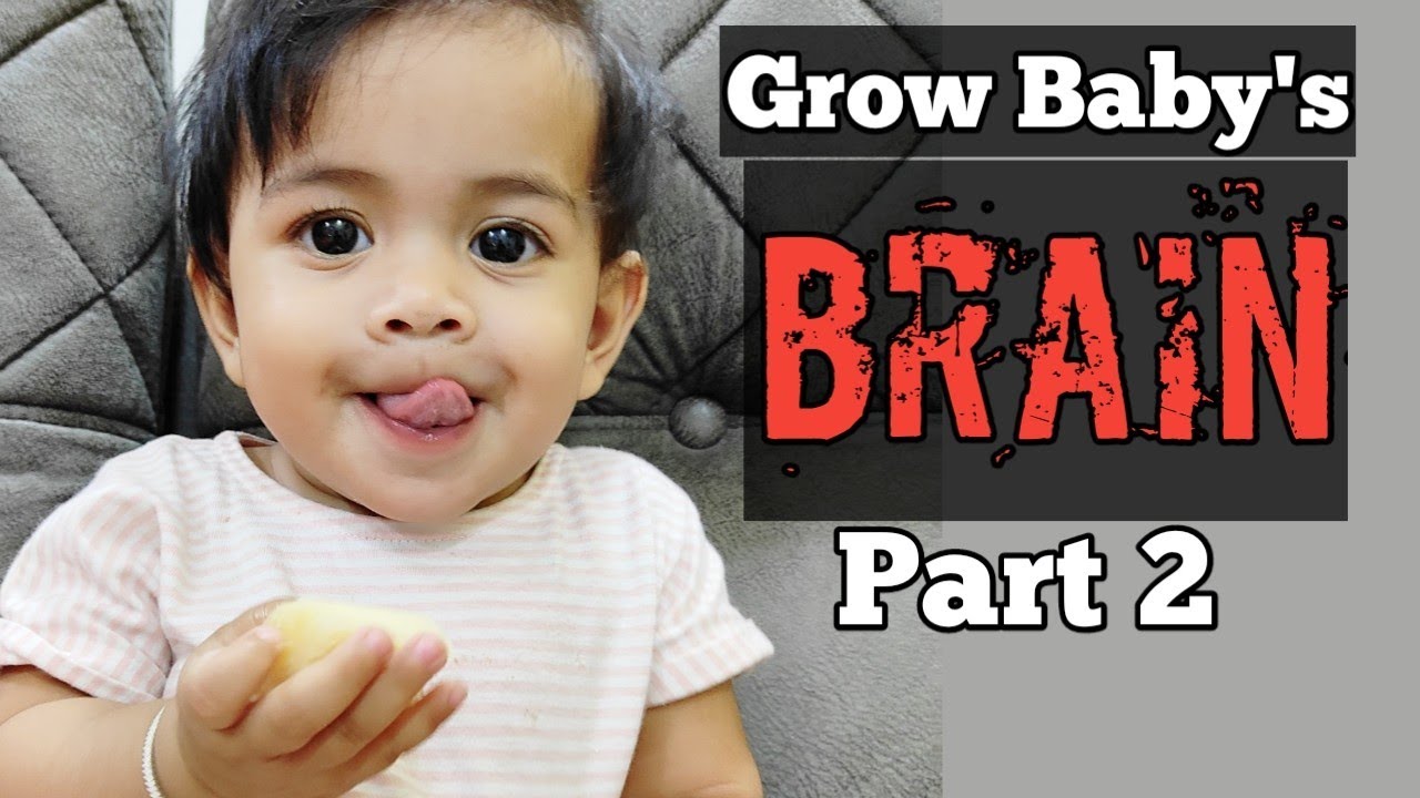Part 2 How To Make Baby Active Brain Development Utilizes The Part 2 How To Make Baby Active Brain Development Utilizes The