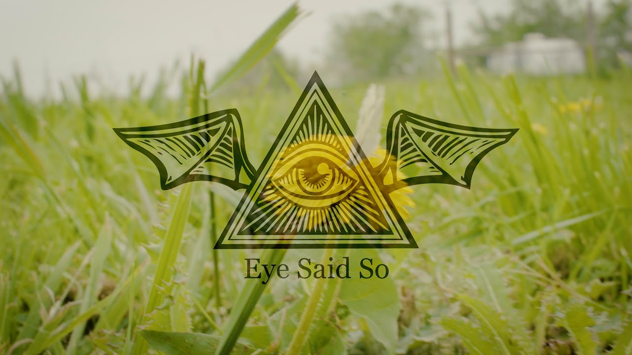 Eye Said So - "Stars" (HUM Cover) - YouTube