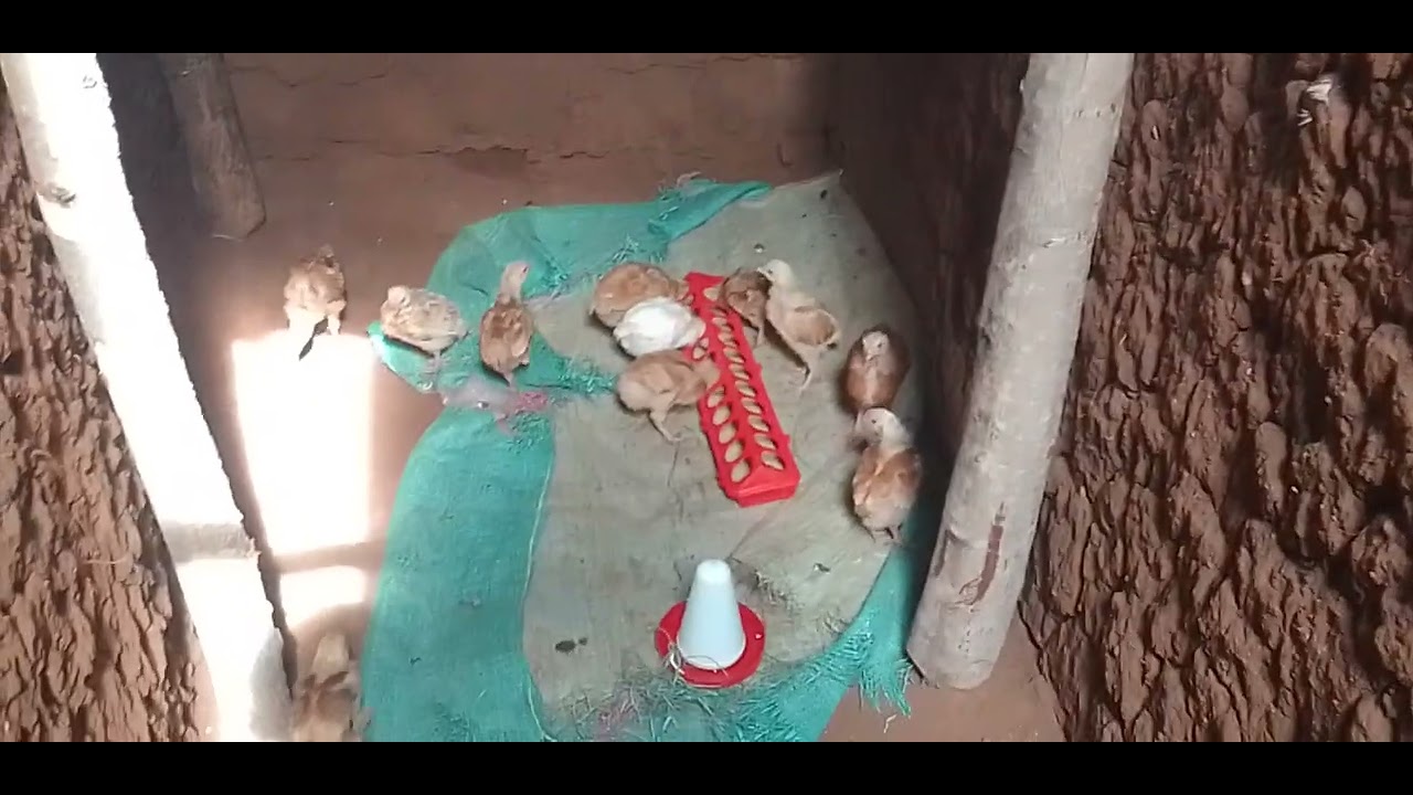 Baba Ebenezer s project - YouTube