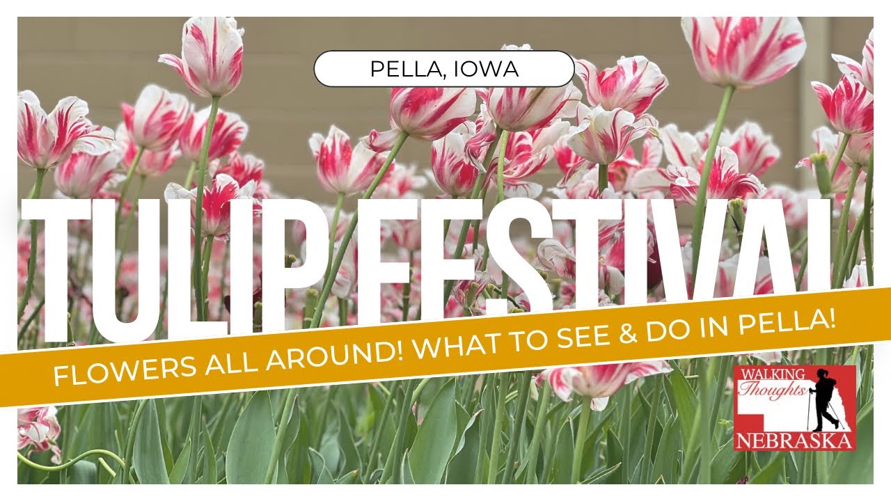 Flowers Everywhere! Tulip Festival at the Dutch Country of the Midwest ...