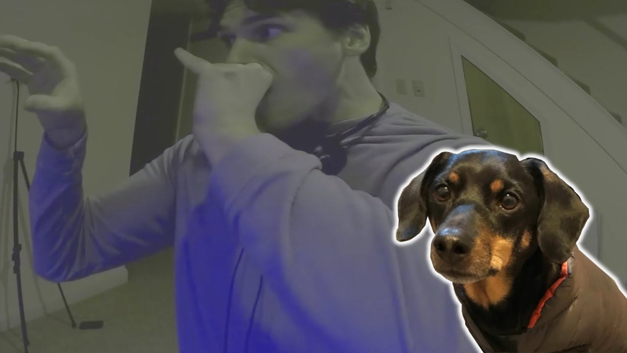 Jerma - teacher noise, translated for dogs - YouTube