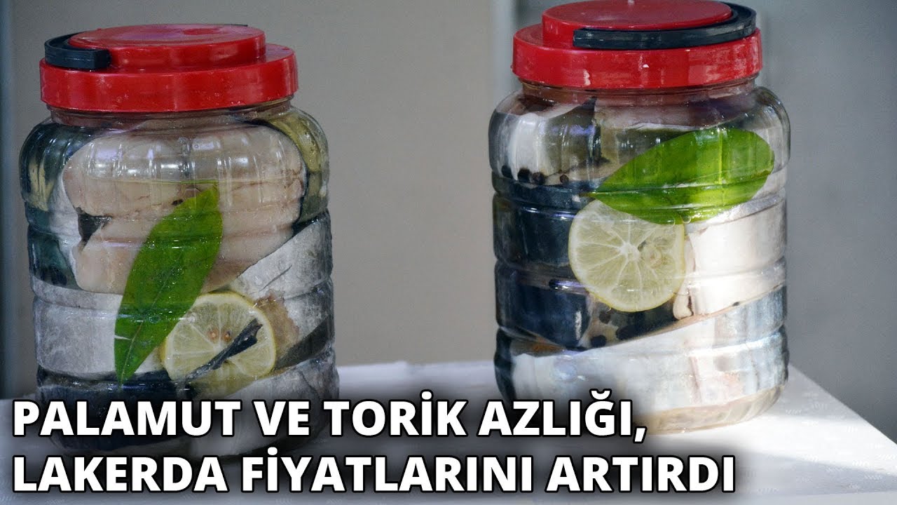 Palamut ve torik azlığı, lakerda fiyatlarını artırdı - YouTube