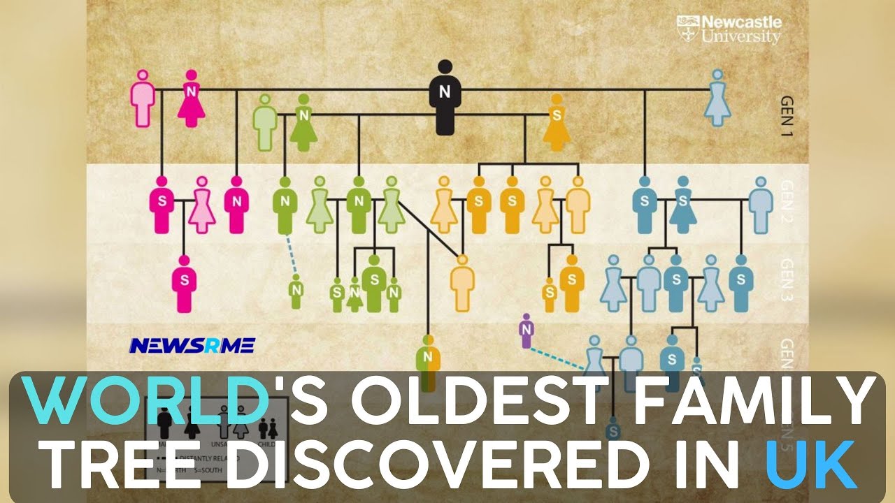World's oldest family tree discovered in UK | UK News | NewsRme - YouTube