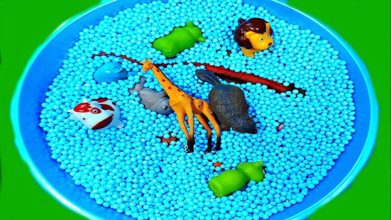 Learn Colors With Zoo Wild Animals and penguin in in blue balls Tub ...