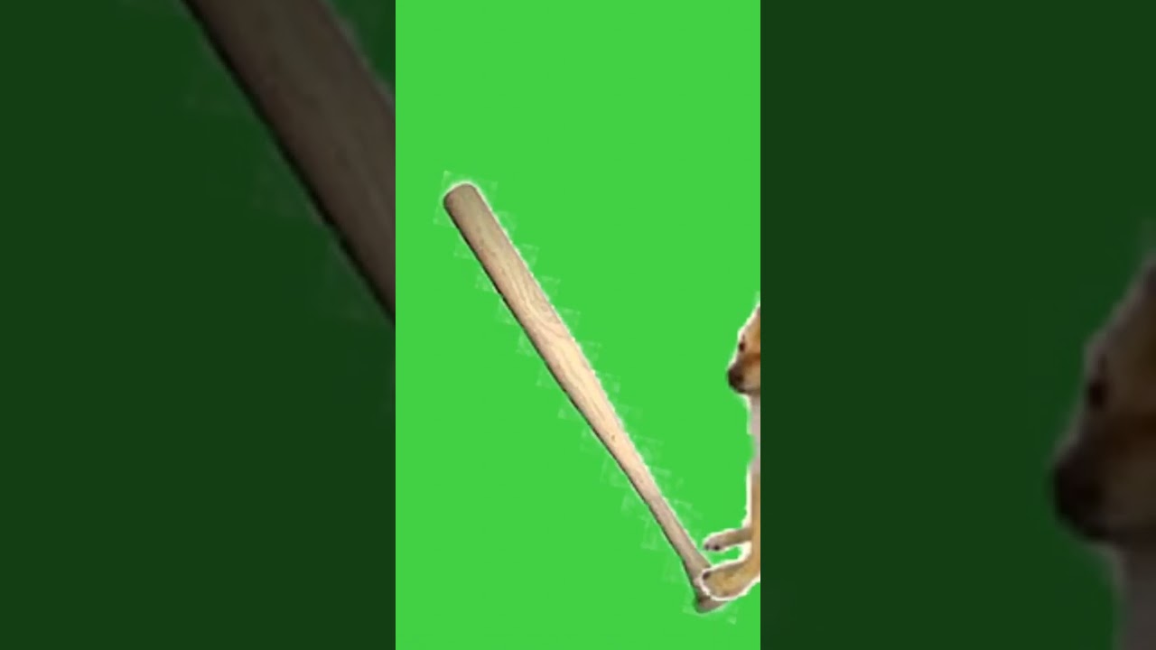 Green screen BONK (meme) - YouTube