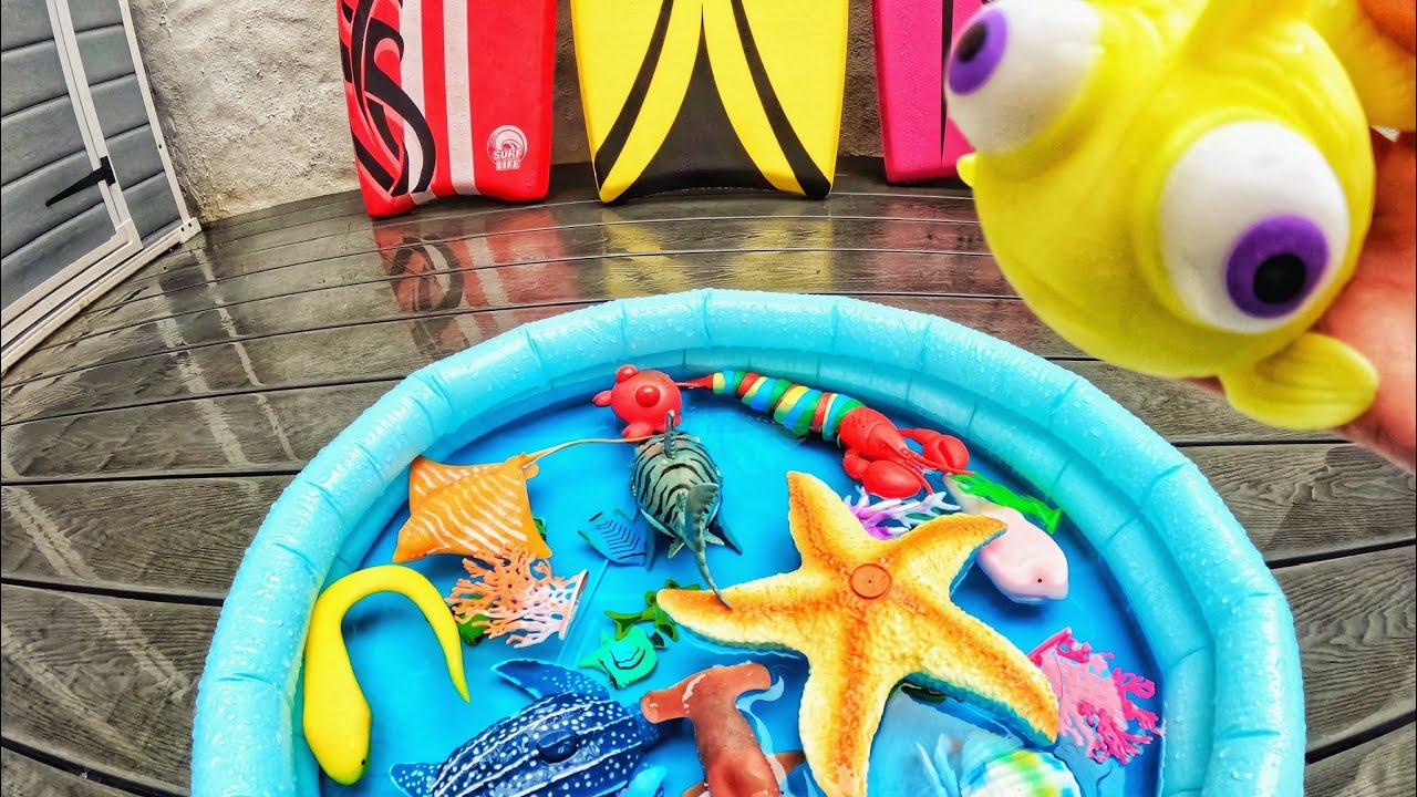 Learn Sea Animal Names for Babies Kids: Fish Crab Tiger Shark - YouTube