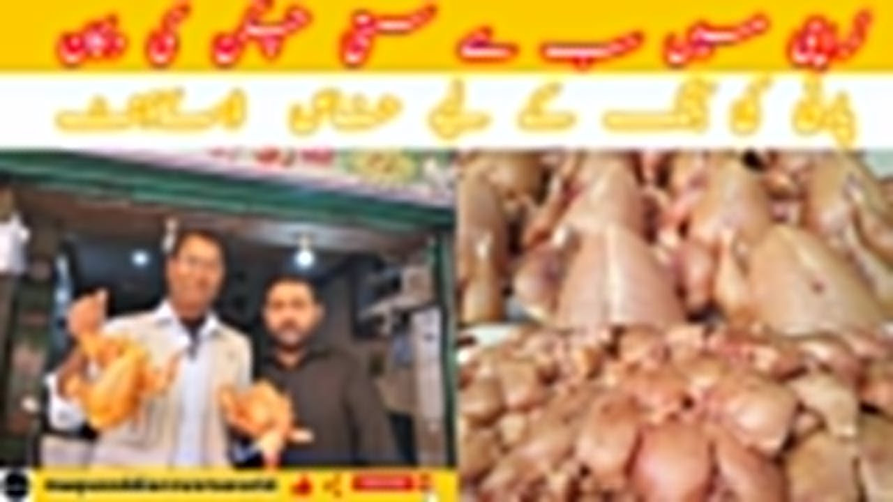 Chicken | wholesale Chicken in Karachi |Tariq Poultry Farm | #karachi # ...