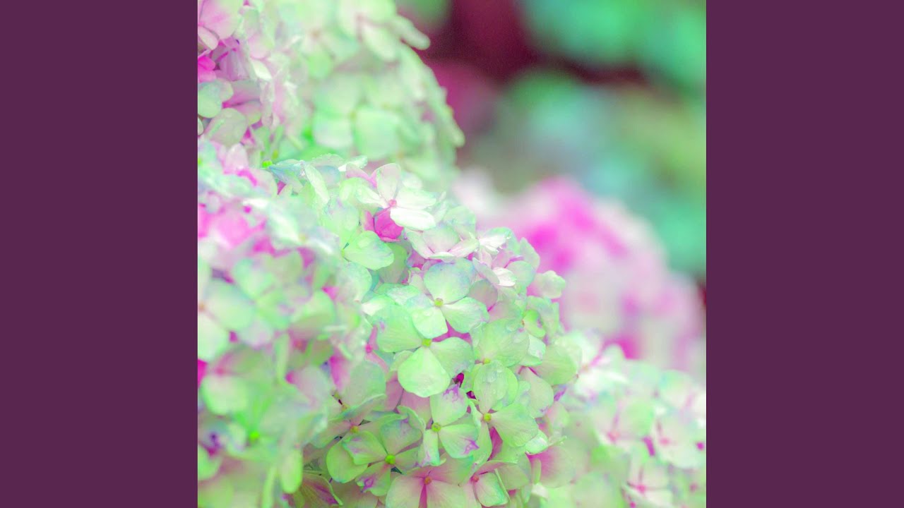 Exquisite Sunday Minutes - YouTube