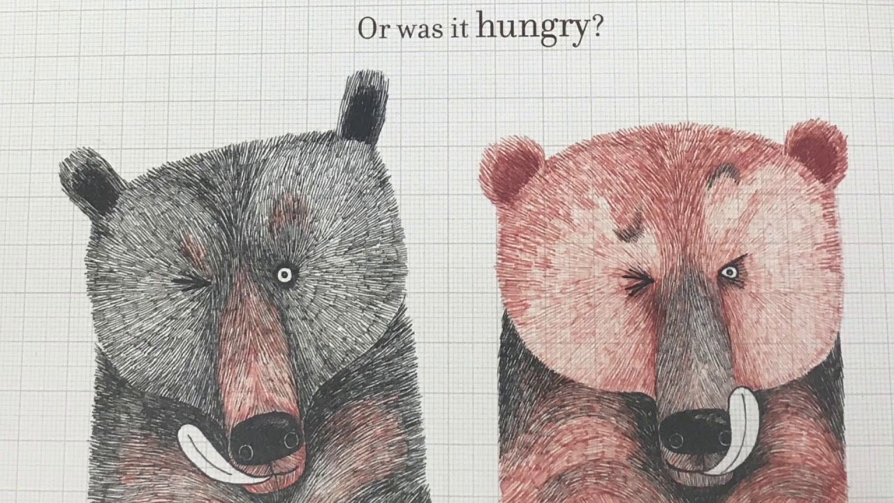 A Beginner's Guide to Bear Spotting - YouTube