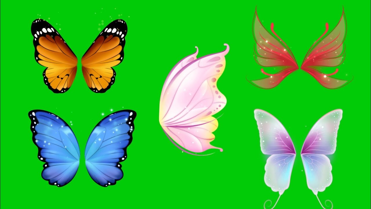 Pantalla verde efectos de mariposa y adas/ green screen butterfly - YouTube