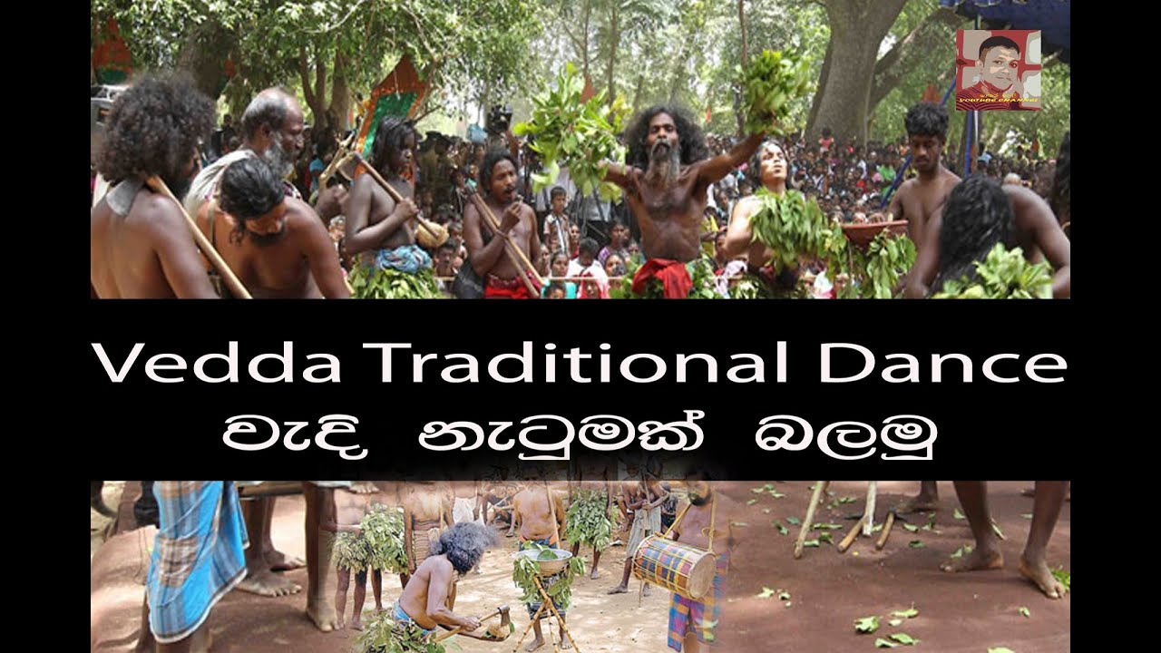 Vedda Traditional Dance ( වැදි නැටුමක් බලමු ) - YouTube