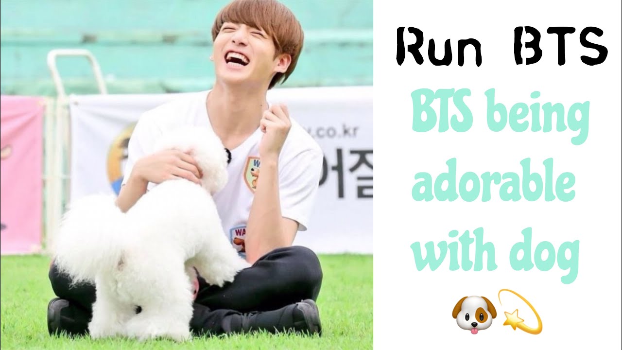 BTS being adorable with dogs 🐶💫 - YouTube