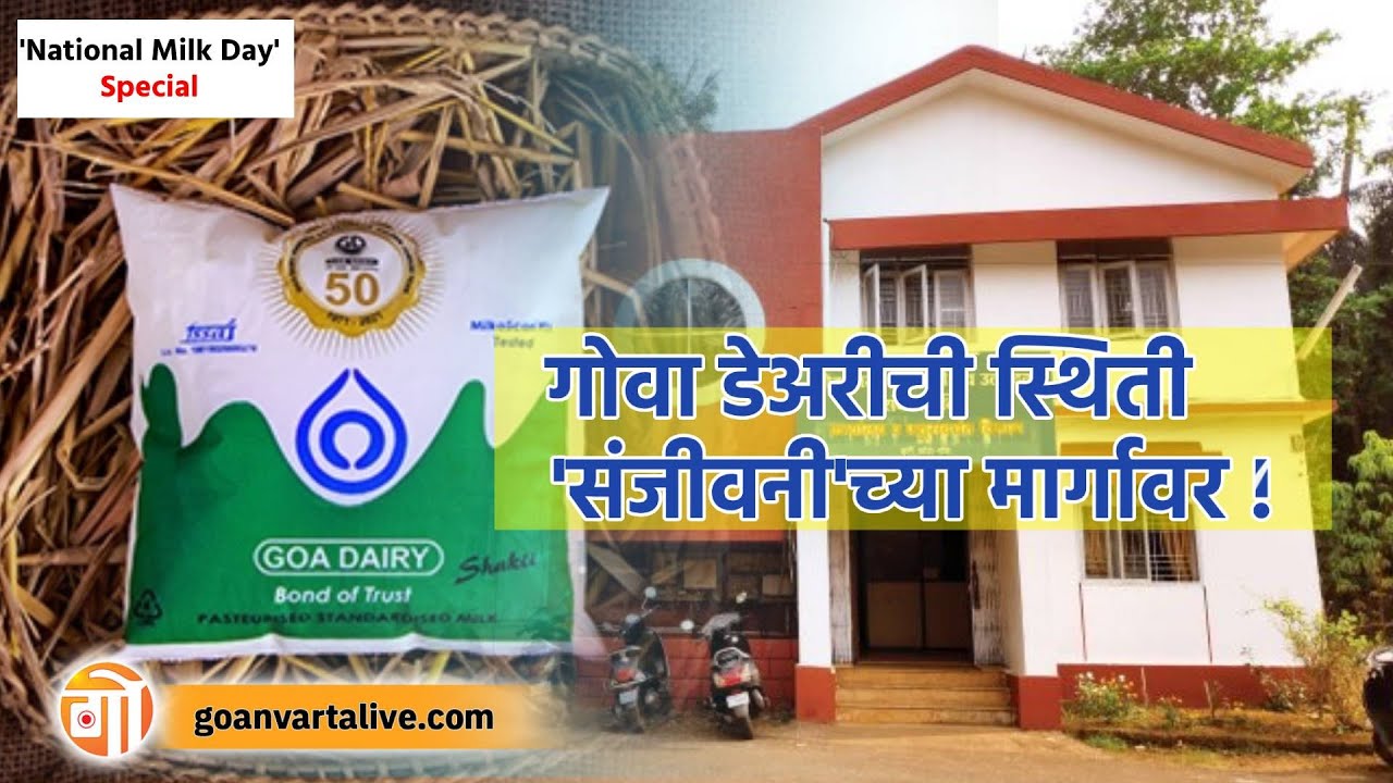 SPECIAL REPORT ! NATIONAL MILK DAY | GOA DAIRY | गोवा डेअरीची सध्याची ...