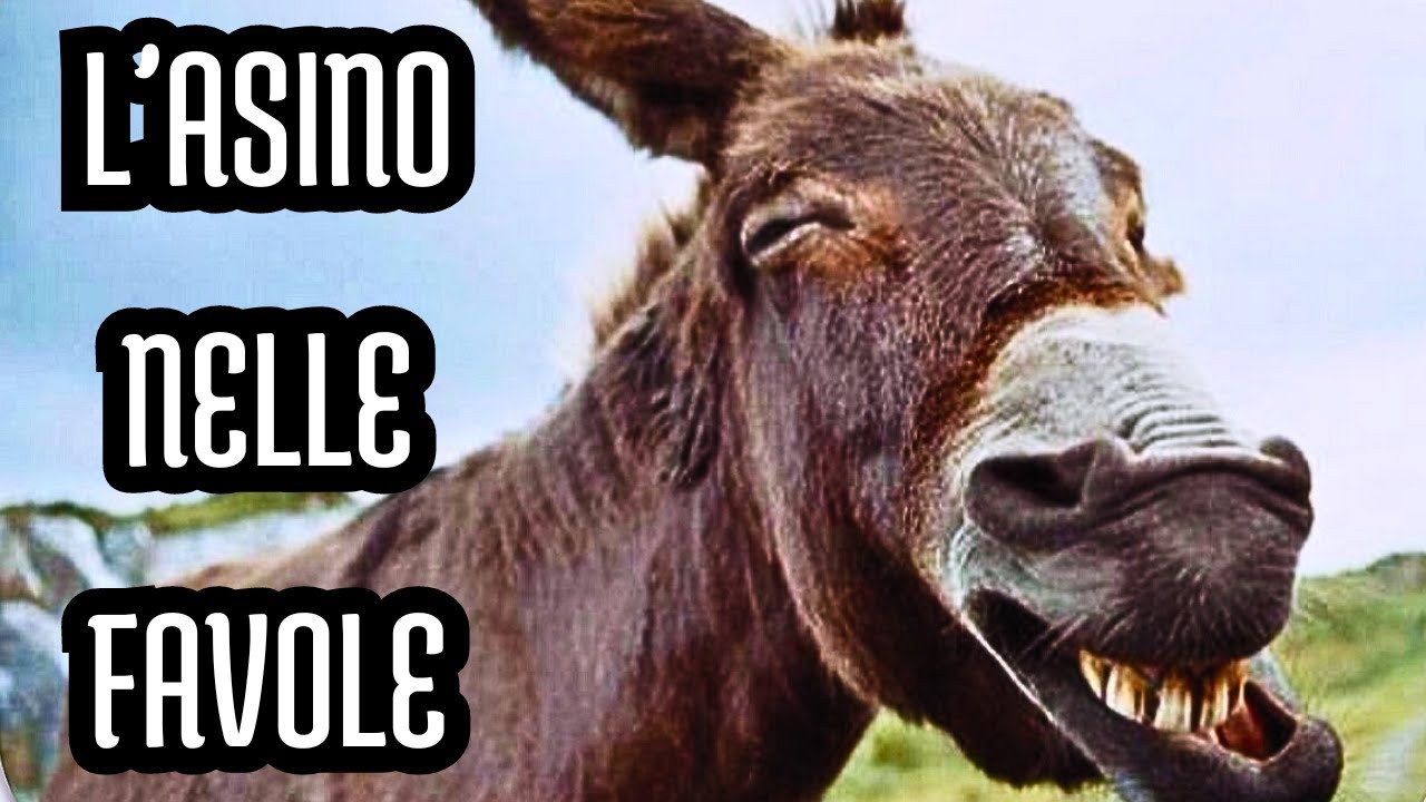 IL SIMBOLO DELL'ASINO NELLE FAVOLE - YouTube