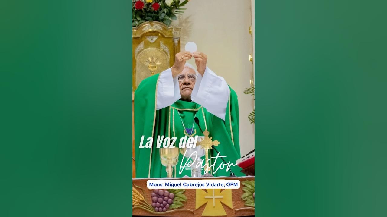 LVP3 - VII Domingo del Tiempo Ordinario - YouTube