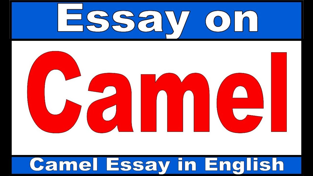Essay On Camel in English||The Camel essay in English|| Camel nibandh ...