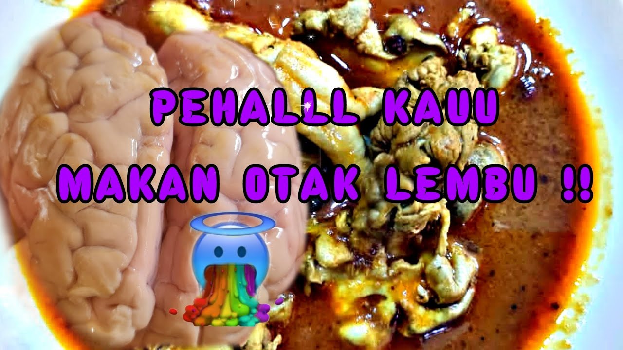 Teknik Buang Urat di Otak Lembu Cara MUDAH dan CEPAT !! #resepimudah # ...