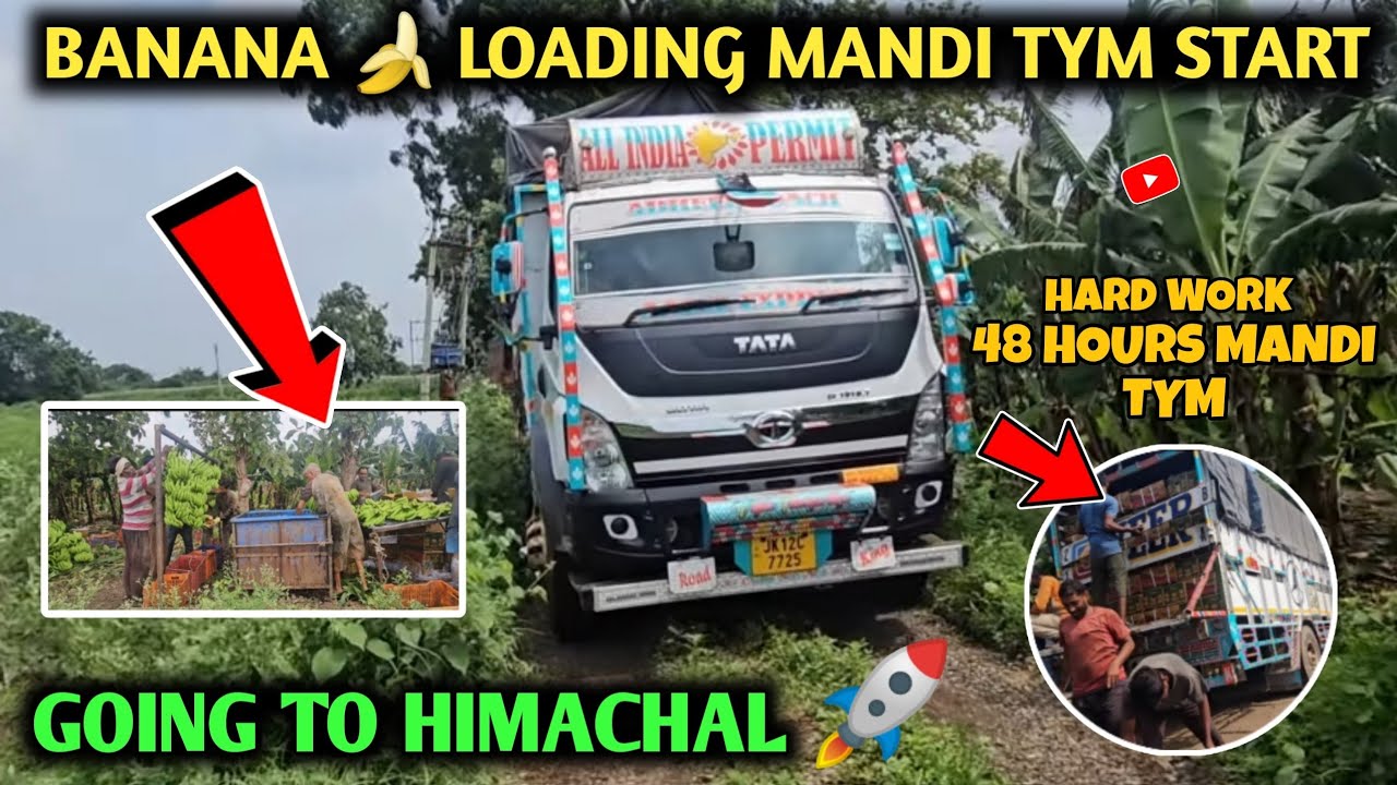 loading banana 🍌 mandi time start 48hours ki hardworking start savda To ...